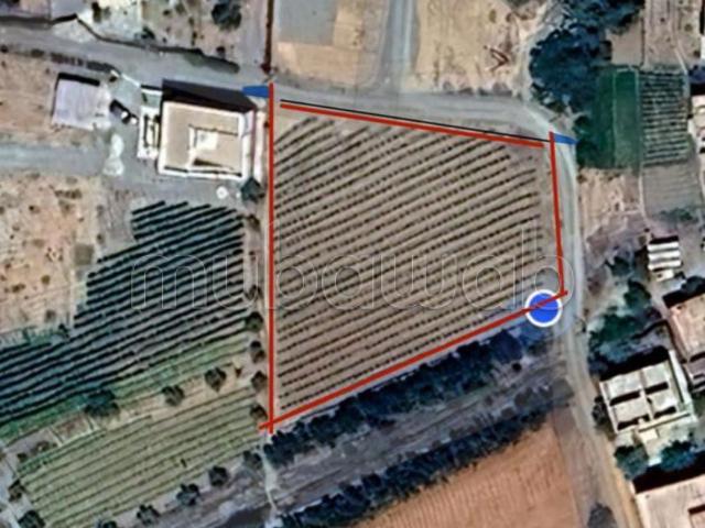 922 Terrains à vendre agricole à Al Hoceïma - Mitula Immobilier