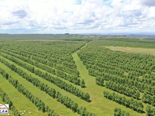 4 Fazendas à venda em Almino Afonso - Mitula Imóveis
