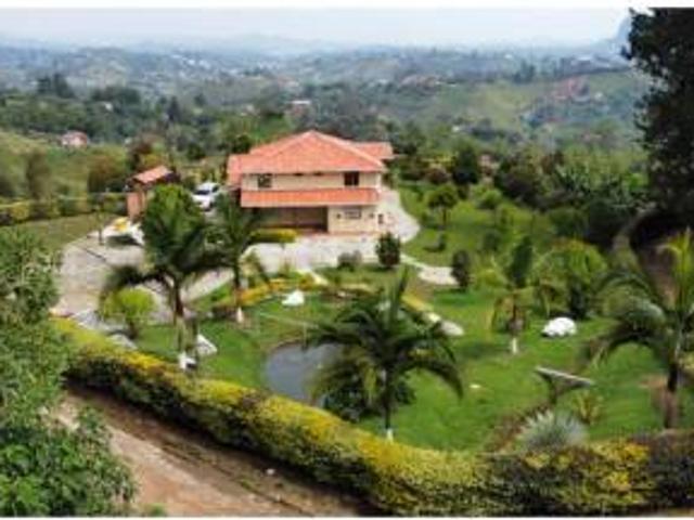 El Peñol - 775 fincas en El Peñol - Mitula Casas