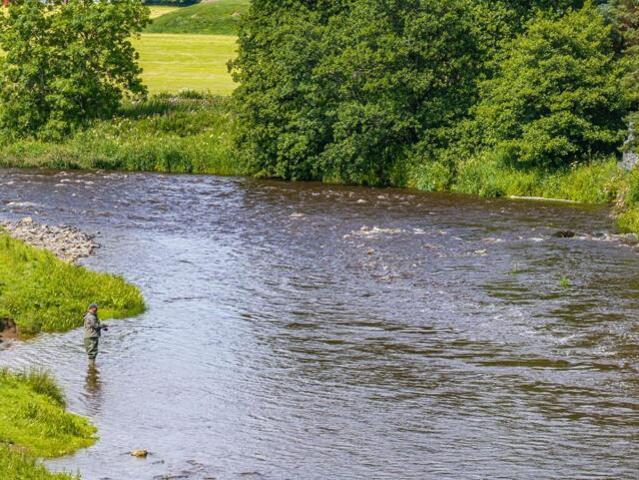 237 Cottages for sale in Dumfries And Galloway region - Mitula Properties