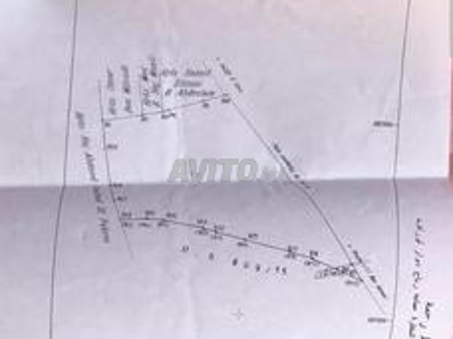 127 Terrains à louer agricole à Oujda - Mitula Immobilier