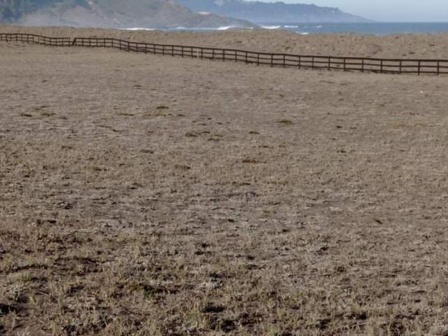 Curanipe - 157 terrenos en Curanipe - Mitula Casas