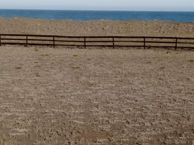 Curanipe - 171 terrenos en Curanipe - Mitula Casas