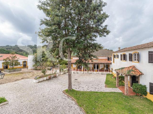 80 Quintas à venda em Chamusca - Mitula Imóveis