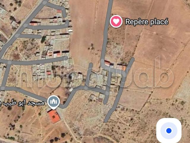 600 Propriétés à vendre sidi bouzid à Safi - Mitula Immobilier