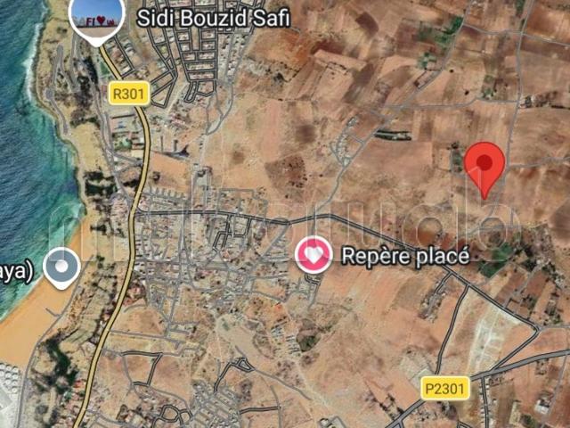 600 Propriétés à vendre sidi bouzid à Safi - Mitula Immobilier