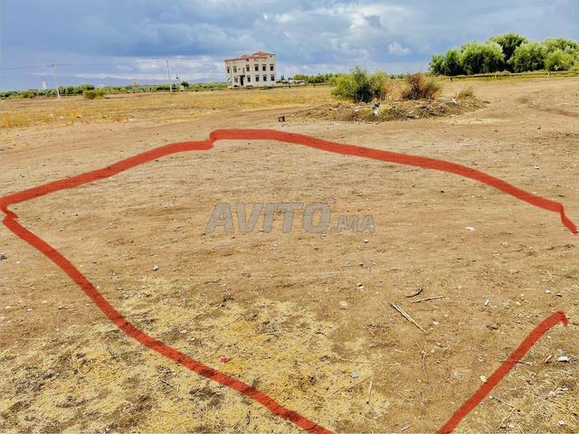 1 Appartements à louer à Souk Sebt Oulad Nemma - Mitula Immobilier