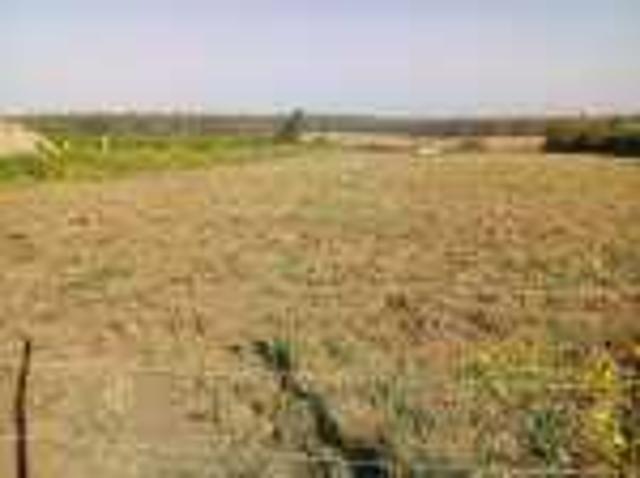 40 Terrains à vendre agricole à Gharb-Chrarda-Beni Hssen province ...