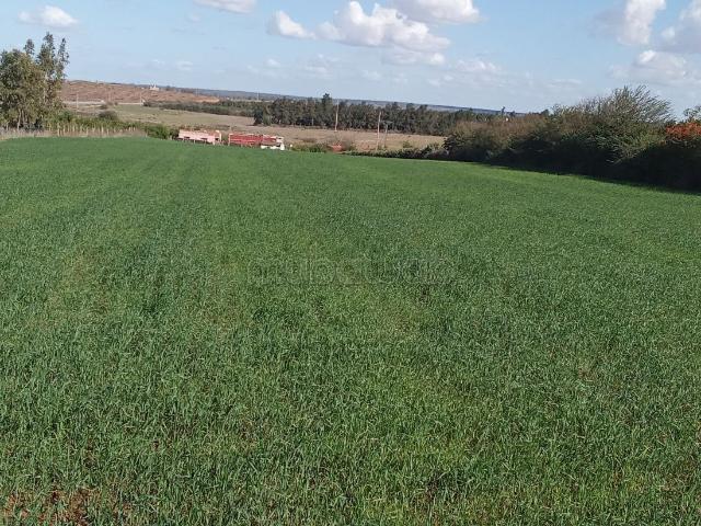479 Terrains à vendre à Oulad Azzouz - Mitula Immobilier