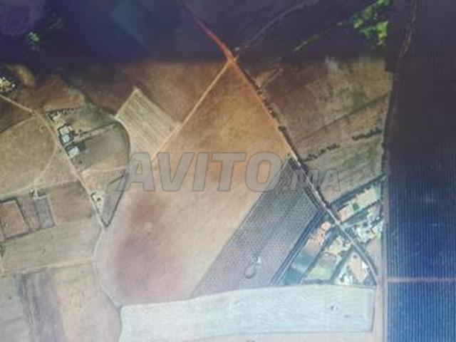 127 Terrains à louer agricole à Oujda - Mitula Immobilier