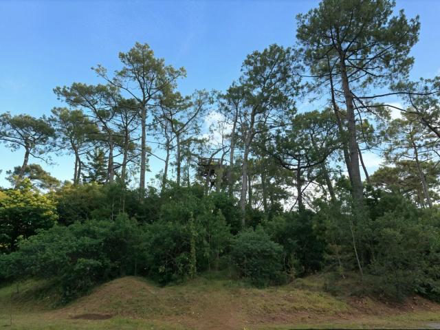12 Terrains à vendre à Piraillan, Lège-cap-ferret - Mitula Immobilier
