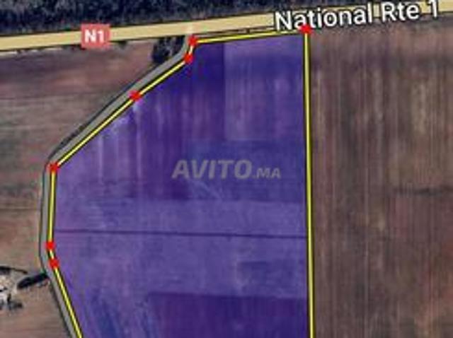 481 Terrains à vendre hectares à Doukkala-Abda province - Mitula Immobilier