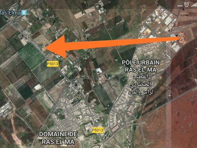 58 Terrains à vendre hectares à Fès-Boulemane province - Mitula Immobilier
