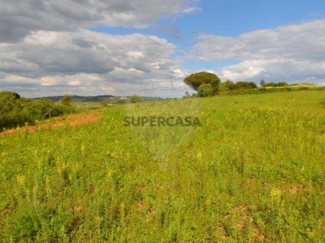 201 Terrenos à venda em Carnota, Alenquer - Mitula Imóveis