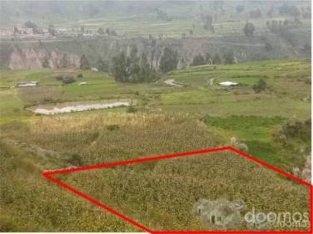 Terrenos en venta proyecto en Chivay - Terrenos en venta en Chivay ...