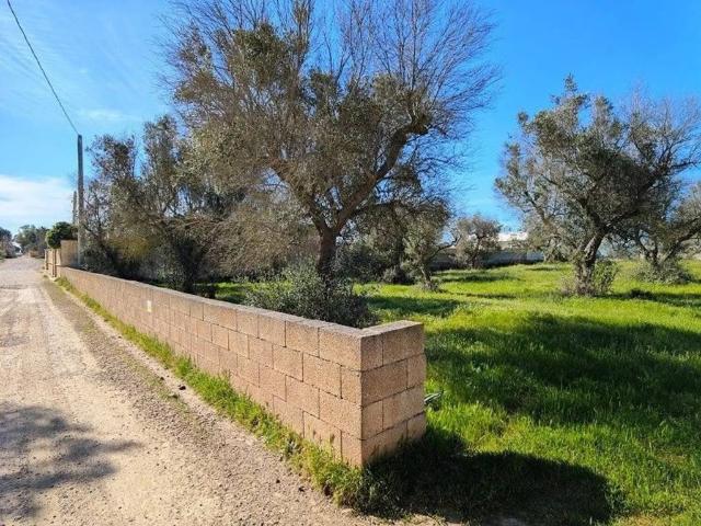24 Terreni in vendita a Torre Lapillo, Porto Cesareo - Mitula Case