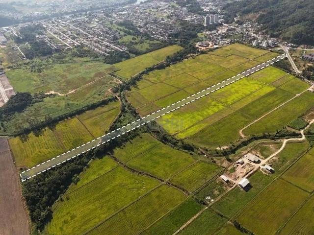 635 Terrenos à venda em Gaspar Grande, Gaspar - Mitula Imóveis
