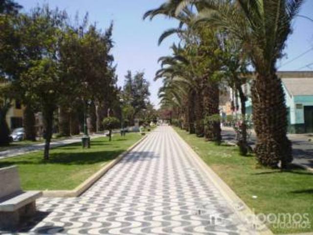 Tacna - 426 casas en Tacna - Mitula Casas