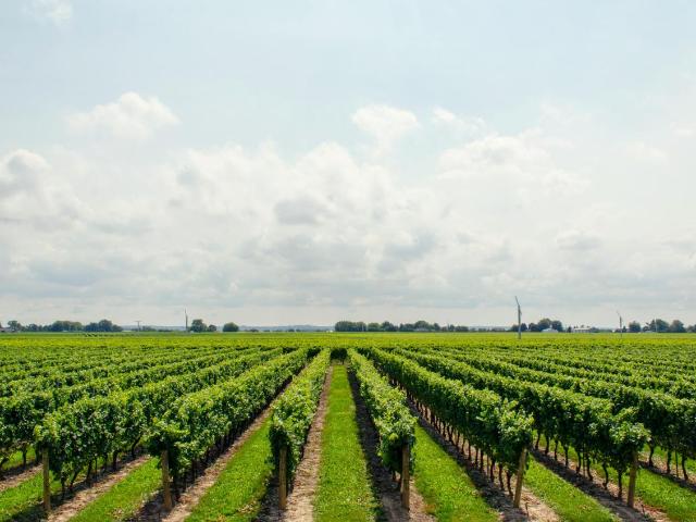 58 Terrains à vendre hectares à Fès-Boulemane province - Mitula Immobilier
