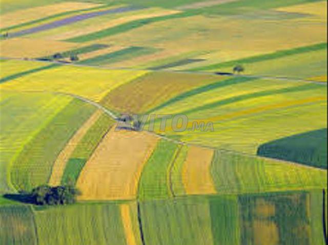 39 Terrains à vendre agricole à Gharb-Chrarda-Beni Hssen province ...