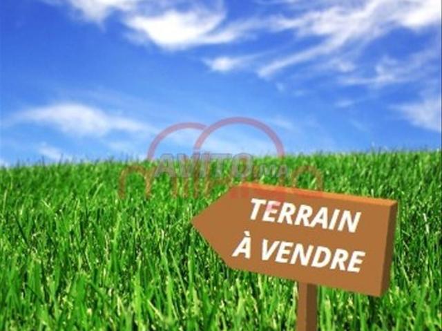 1.303 Fermes à vendre à Sidi Bennour - Mitula Immobilier