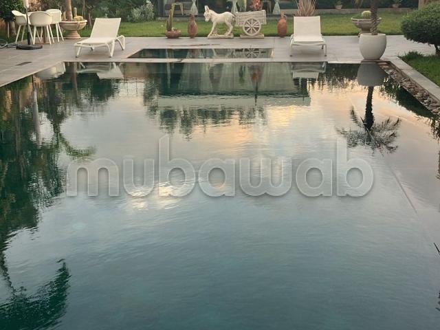 333 Propriétés à louer à Oulad Chaoui - Mitula Immobilier